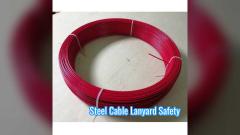 Steel Cable Lanyard Safety Hook