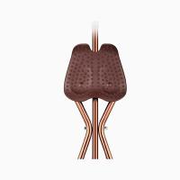 China Customized Walking Cane With Chair Three Legs Multi Functional for sale