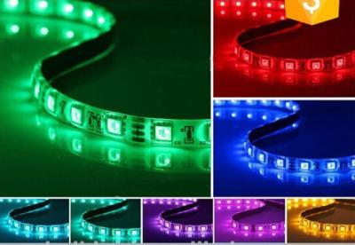 China LED RGB Strips SMD5050 IP65 single color waterproof DC12V 60pcs one meter 14.4W for sale