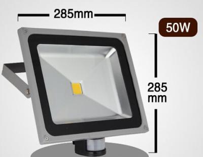 China 50W led flood light with motion PIR sensor Brigelux led meanwell driver high quality CE for sale