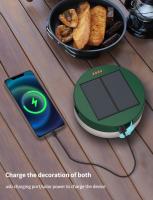 Quality Modern Solar Stake Lights With Toughened Glass Lampshade And Rechargeable for sale