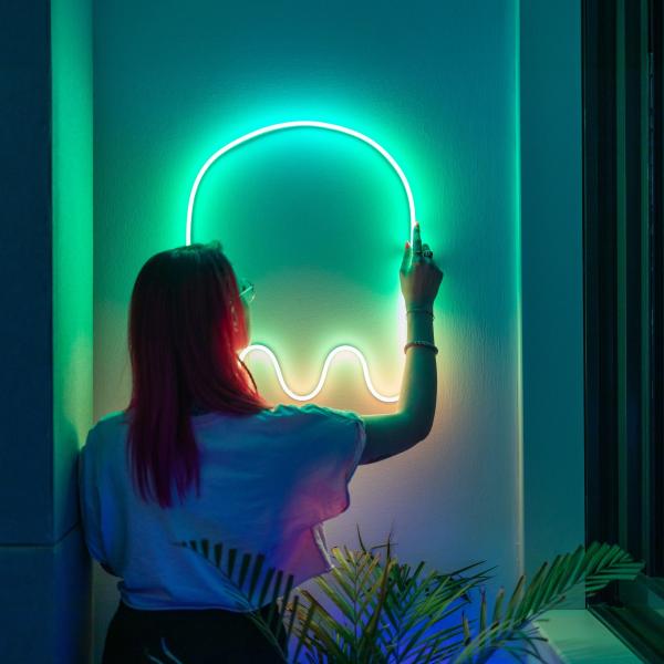 Quality Adjustable Brightness RGBIC LED Lights With Music Sync And Timer WiFi Bluetooth for sale