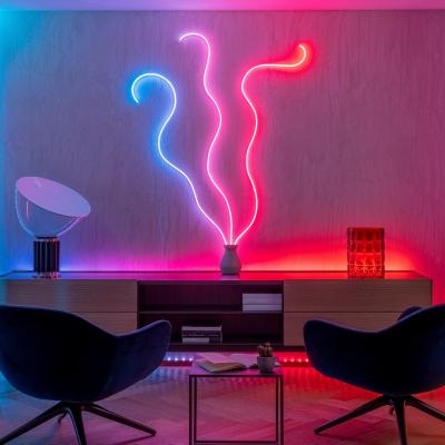 중국 RGBIC LED 조명 및 가정 분위기 위한 여러 장면 모드 판매용