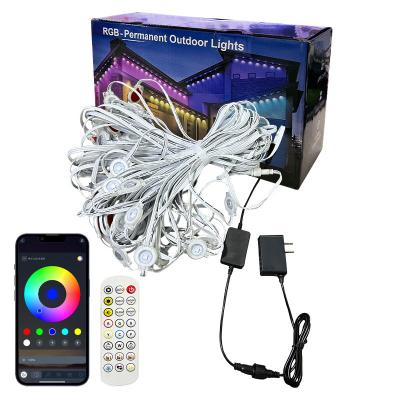 China 24V 0.5A Voltage Multicolor LED Strip Lights with Advanced RGBIC Bluetooth Control for sale