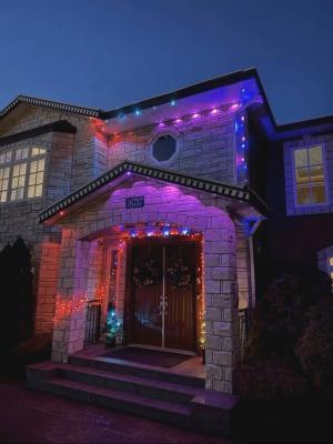 China Chageable RGBIC LED Lights with Blutooth Control Eaves Light 15m 25 Lights Power Supply Controller one Piece for sale