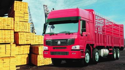 China China Supplier SINOTRUK HOWO 8x4 Cargo Truck for sale
