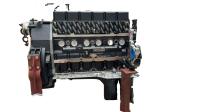 China MAN D0836 Basic Engine Assembly New 12 Month Warranty OEM Standard Size Auto Engine for sale
