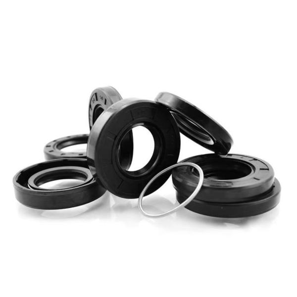Quality Hot Selling Framework TC Oil Seal 22 * 32/35/38/40/42/45/47/48/50 * 7/8/10 24 * for sale