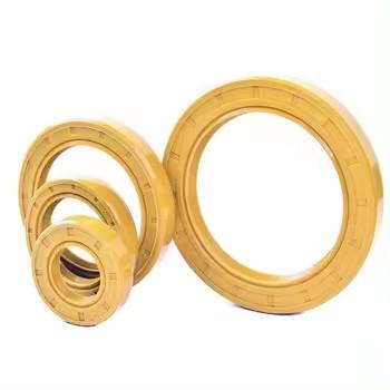Cina Produttori di TC Oil Seal in vendita