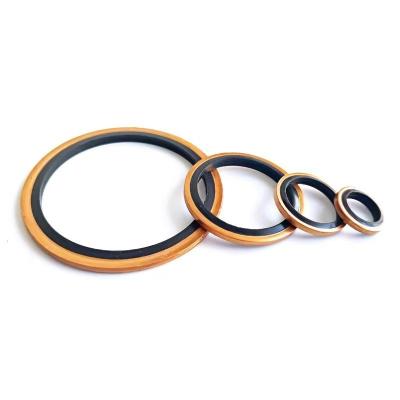 Cina M12 Acciaio piatto NBR NBR zinc-plated automotive autocentrale sigillo con guarnizione legata in vendita