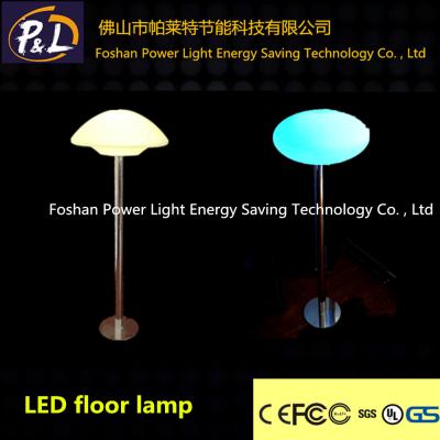 China Indoor LED Decoration Floor Lamp for Home Decoration for sale