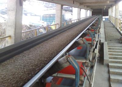 Cina Pesatore del nastro trasportatore del commestibile 220VAC 600mm nell'industria saliera in vendita
