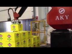 Synchronous Belt Palletizing Robots Used In Food Industry