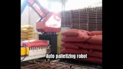 Automatic 25kg Packing Machine