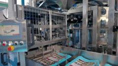 Automatic 25kg Industrial Bag Filling Machine Solution