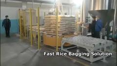Automatic Packing Machine and Palletizing Robot Line for Feed Industry