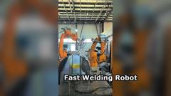 ABB / Estun Palletizing / Welding Robot in Car Industry