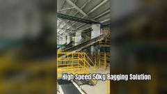 Automatic 50kg Granule Packing Machine for Chemical Industry