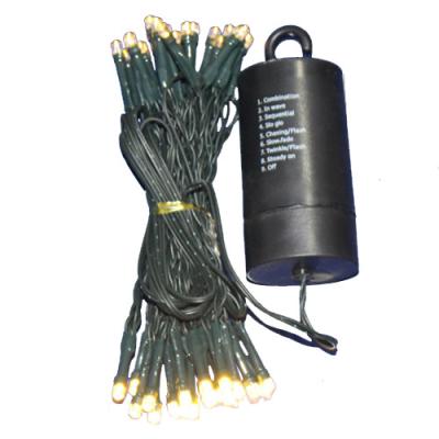 China Waterproof led string lights garden decoration for sale