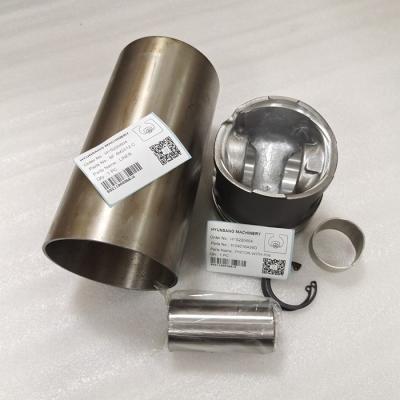 China FB 4M2012C BF6M2012 1004016A56D 1002015-56D do jogo de Parts Liner Piston da máquina escavadora de Hyunsang à venda