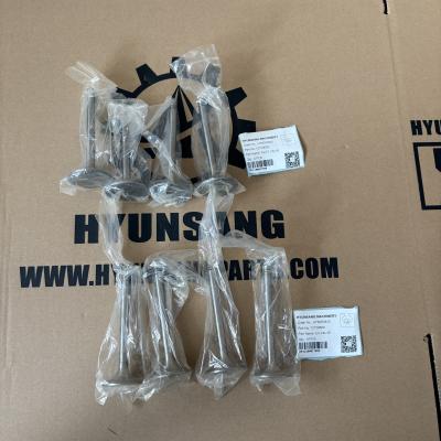 China Hyunsang Excavator Parts INLET VALVE 12159606 EX VALVE 12159608 For Weichai Deutz 22B/WP6 for sale