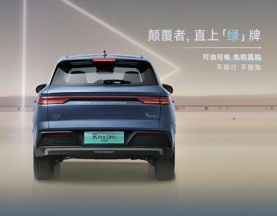 Cina 150kW BYD Electric EV Car Off Road Veicoli elettrici con cinque posti in vendita