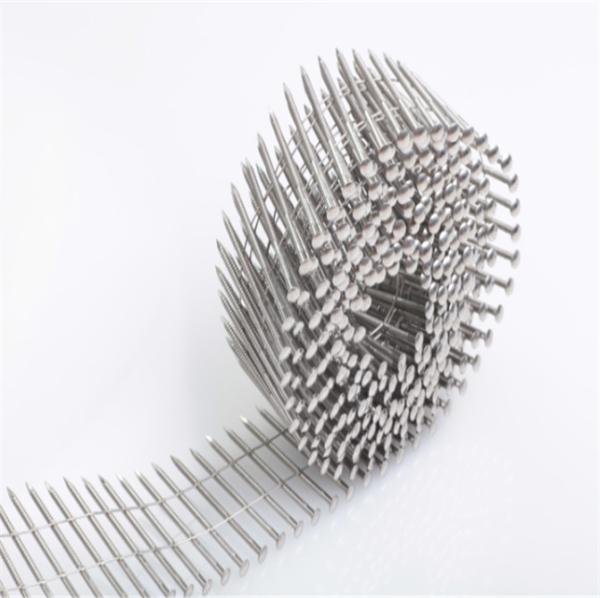 50mm de Roestvrij staalrol nagelt 15/16 Graad van de Schroefsteel Draad de Gebije elkaar bracht Spijkers