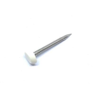 Cina Costruzione esterna Diamond Point Plastic Head Nails in vendita