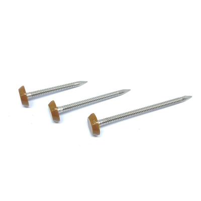 Китай голова 65mm поли верхняя пластиковая пригвождает ногти/штыри хвостовика кольца нержавеющей стали A2 продается