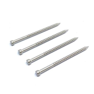 China La cabeza de la sacudida pulió a Ring Shank Nails For Timbers anular de acero inoxidable en venta