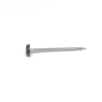 Cina Costruzione esterna Diamond Point Plastic Head Nails in vendita