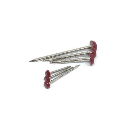Cina Costruzione esterna Diamond Point Plastic Head Nails in vendita