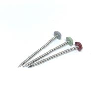 China Rustproof Stainless Steel A4 Plastic Head Nails for sale