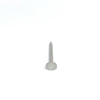Китай Ногти нержавеющей стали плоской головки A2 2.8X30MM с ровным хвостовиком продается