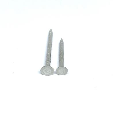 China 2.8X30MM 2.8X40MM SS van de Invloeds Hoofd Vier Holle Steel Spijkers voor het Bevestigen Te koop