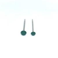 China Shark Point A4 Material Plastic Head Nails Corrosion Resistant for sale
