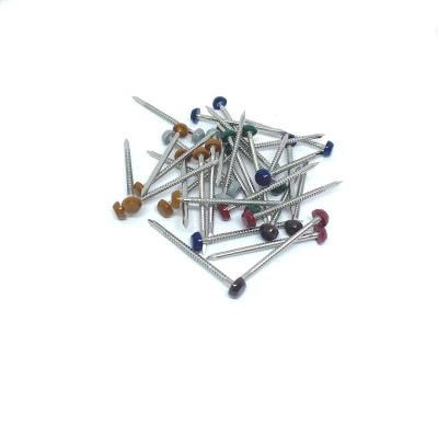 Cina 2.0X40mm fuori di anti chiodi capi di plastica UV con Ring Shank in vendita