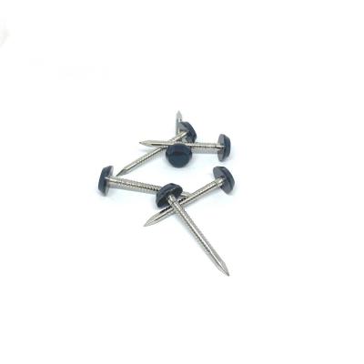 Cina La testa di plastica grigia SUS316 inchioda con Ring Shank Shark Point anulare in vendita