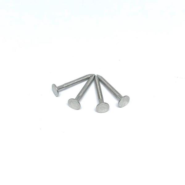 Cabeza de acero inoxidable Ring Shank Nails For Roofing del Decking 3.15X30M M