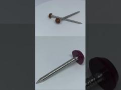 A construção que a cabeça plástica de aço inoxidável prega/fixa a parte superior SUS316 poli fixa 30mm