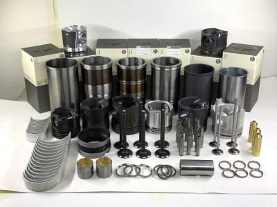 Cina Kit di riparazione per il motore Volvo D4D in vendita