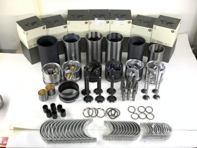 Cina Kit di riparazione per il motore Volvo D4D in vendita