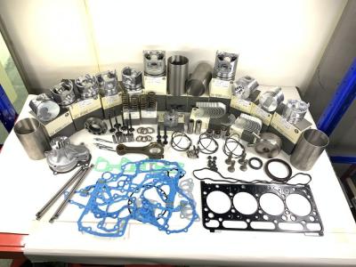 Cina 3054 Kit di riparazione e riparazione per ricambi per motori perkins in vendita