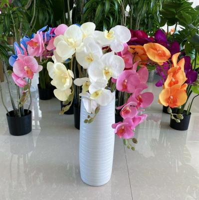China Natuurlijke Real Touch Latex Moth Orchid Decoratieve Kunstbloem Vlinder Orchidee Te koop