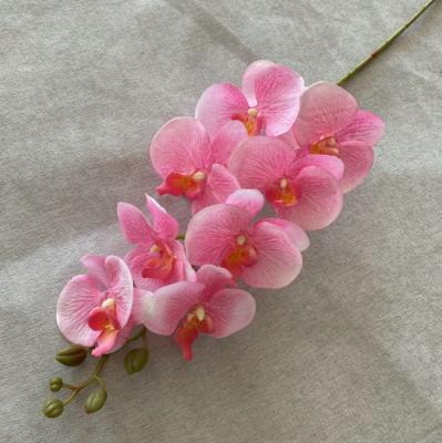 China Natuurlijke Real Touch Latex Moth Orchid Decoratieve Kunstbloem Vlinder Orchidee Te koop