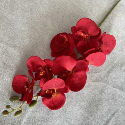 China Natuurlijke Real Touch Latex Moth Orchid Decoratieve Kunstbloem Vlinder Orchidee Te koop
