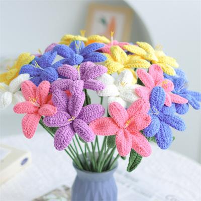 China Knited Pile Handmade Crochet Tulip Bouquet Faux Floral Table Decor for Valentine's/Gift Variety Tulip for sale