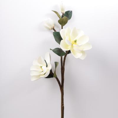 Cina Simulazione transfrontaliera di magnolia di schiuma EVA per uso domestico interni decorazioni a base di fiori falsi in vendita