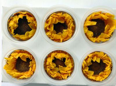 China Ewige Sonnenblume Ewige Blume Sonnenblume Geschenkbox Glasdom-Bouquet Blumenmaterialien Konservierte Blumen Sonnenblume Großhandel zu verkaufen