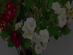 Simulated Rose Flower Cross border Multi head Simulated Flower Artificial Bouquet Wedding Decoration Handheld Fake Flower Ornament